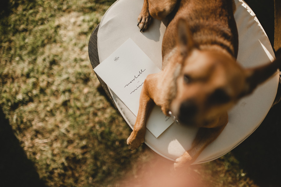 Minnie & Marshall | Orcas Island » Carina Skrobecki