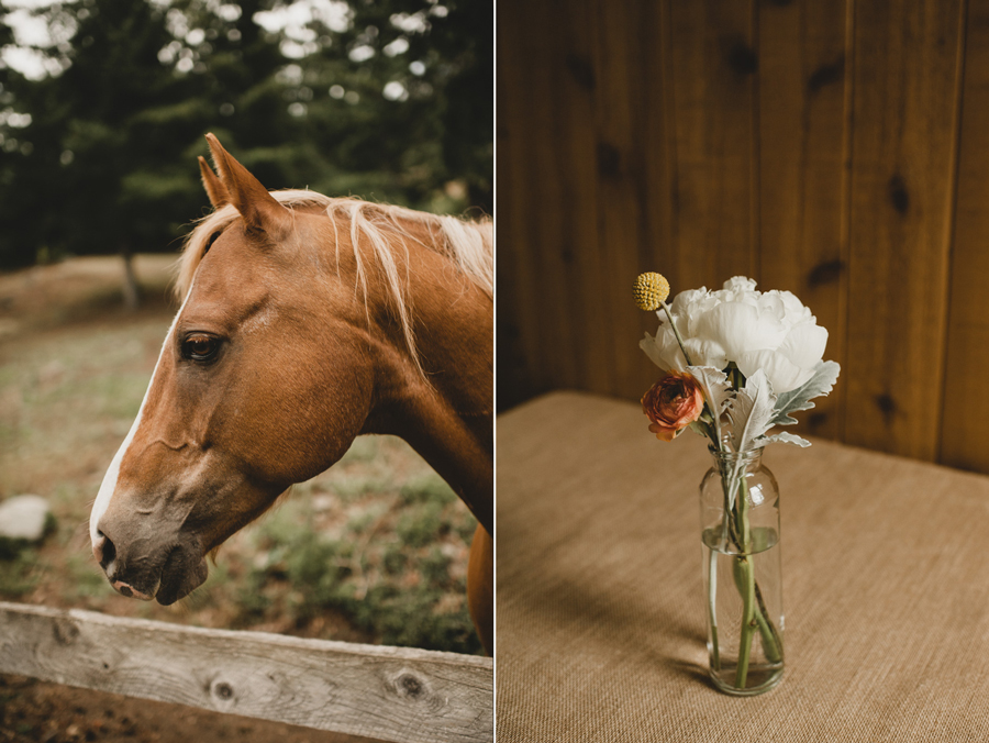 Minnie & Marshall | Orcas Island » Carina Skrobecki