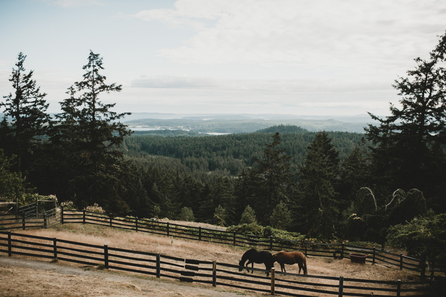 Minnie & Marshall | Orcas Island » Carina Skrobecki