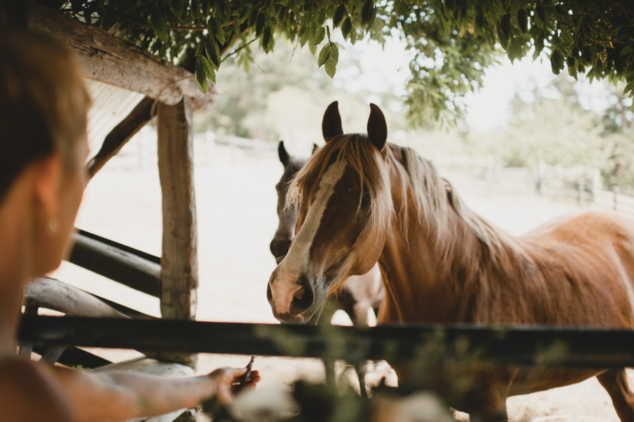 Minnie & Marshall | Orcas Island » Carina Skrobecki